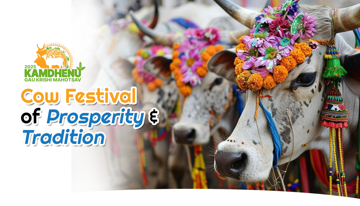 Celebration of Cow Festival - Kamdhenu Gau Krishi Mahotsav