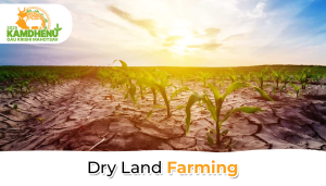 Dry Land Farming: A Sustainable Approach to Agriculture - Kamdhenu Gau ...